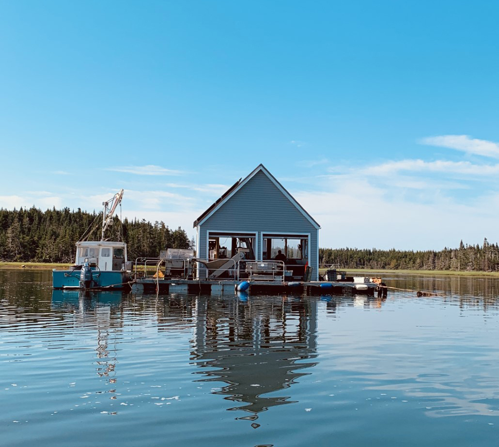 Here comes the sun: Oyster and algae growers harness solar power ...