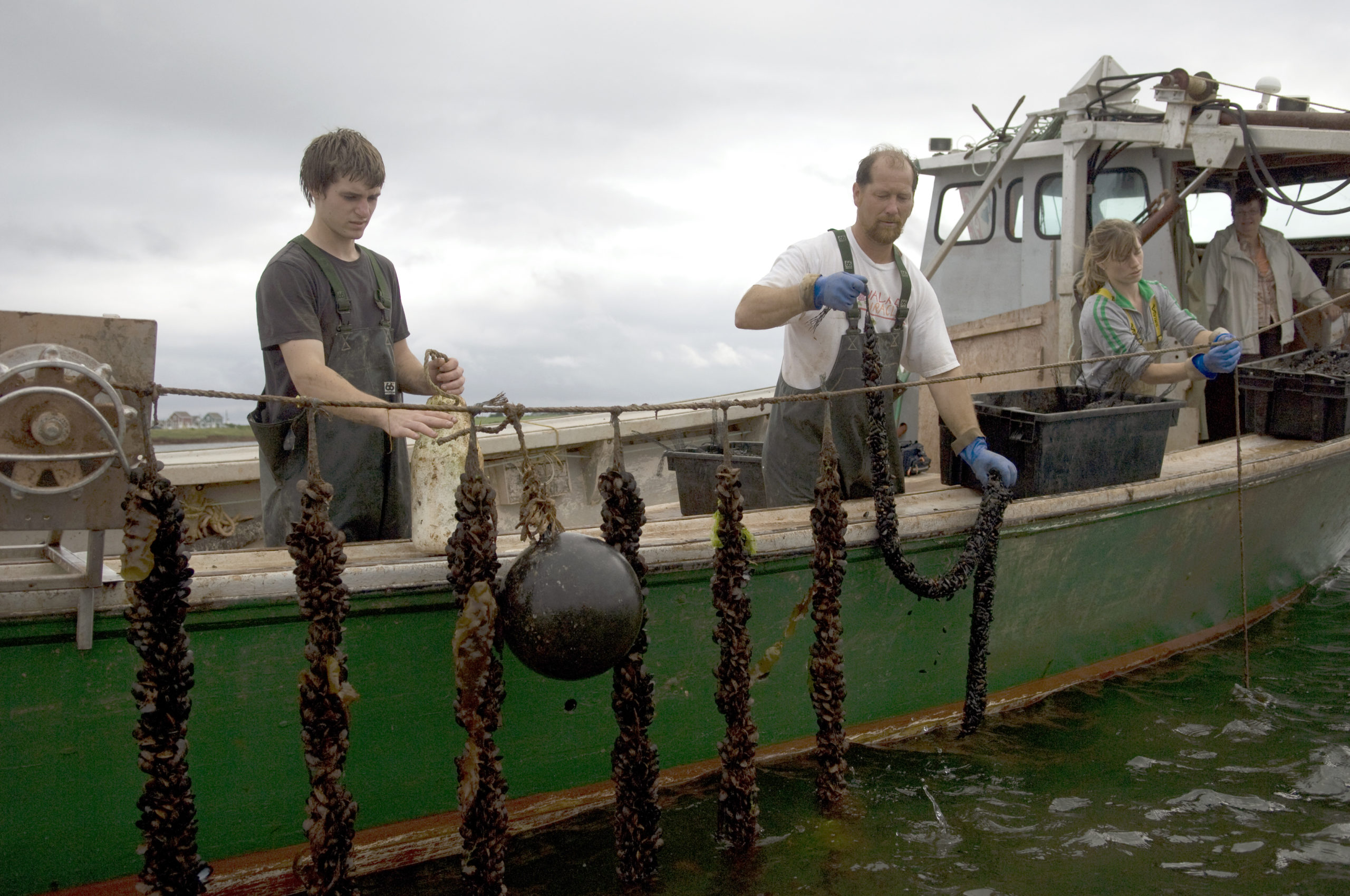 PEI Aquaculture Alliance swaps 87,000 Styrofoam buoys with more ...