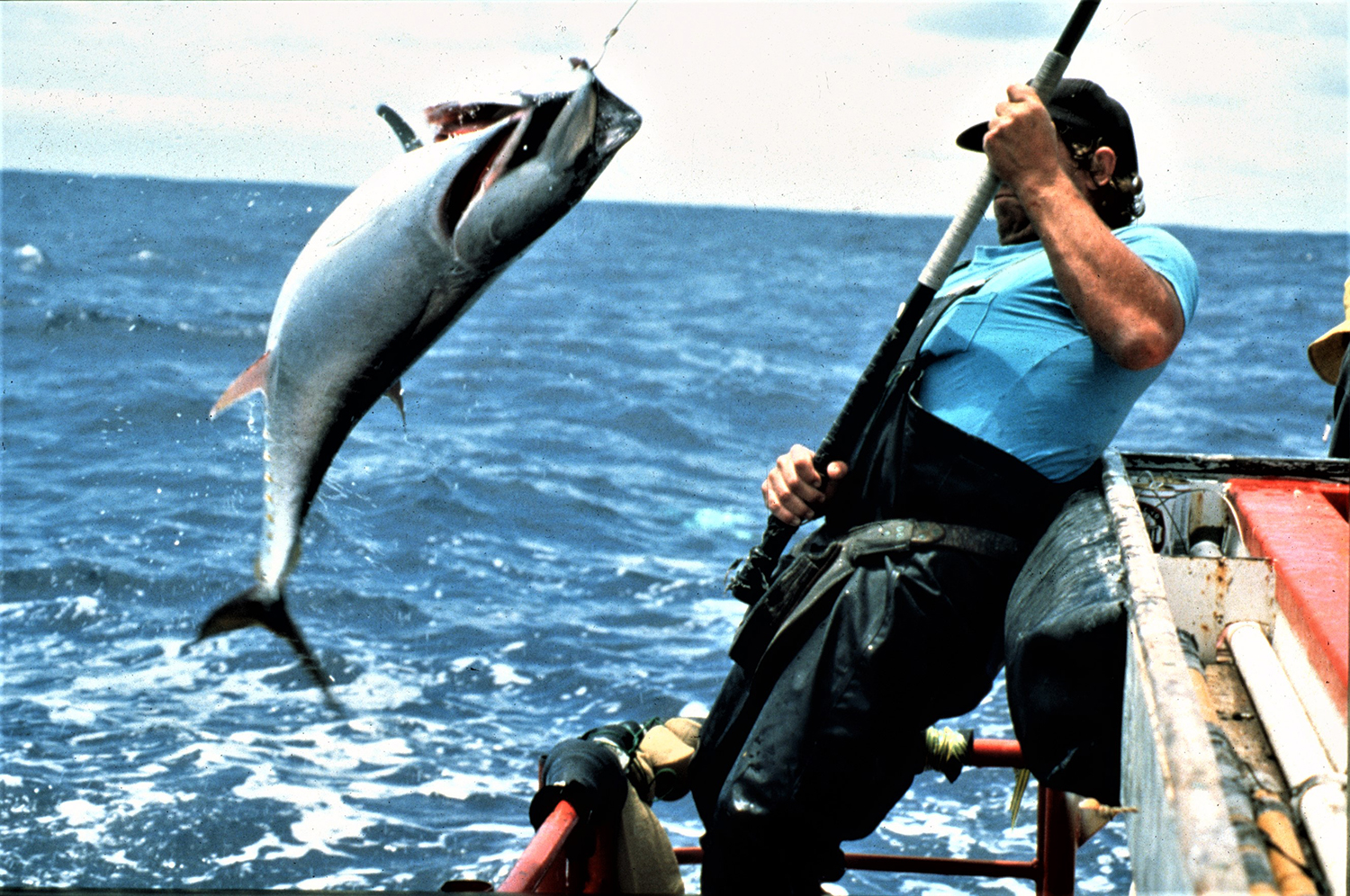 Genomes of various major fish species in world fisheries and ...