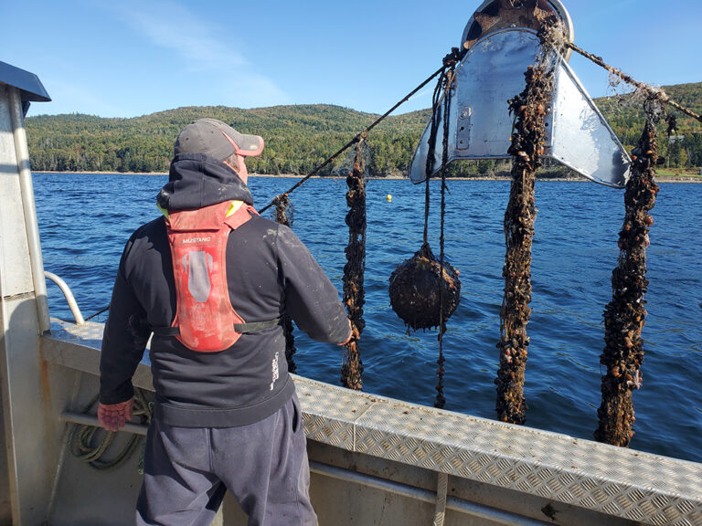 Is Nova Scotia's seafood economy ready for climate change ...
