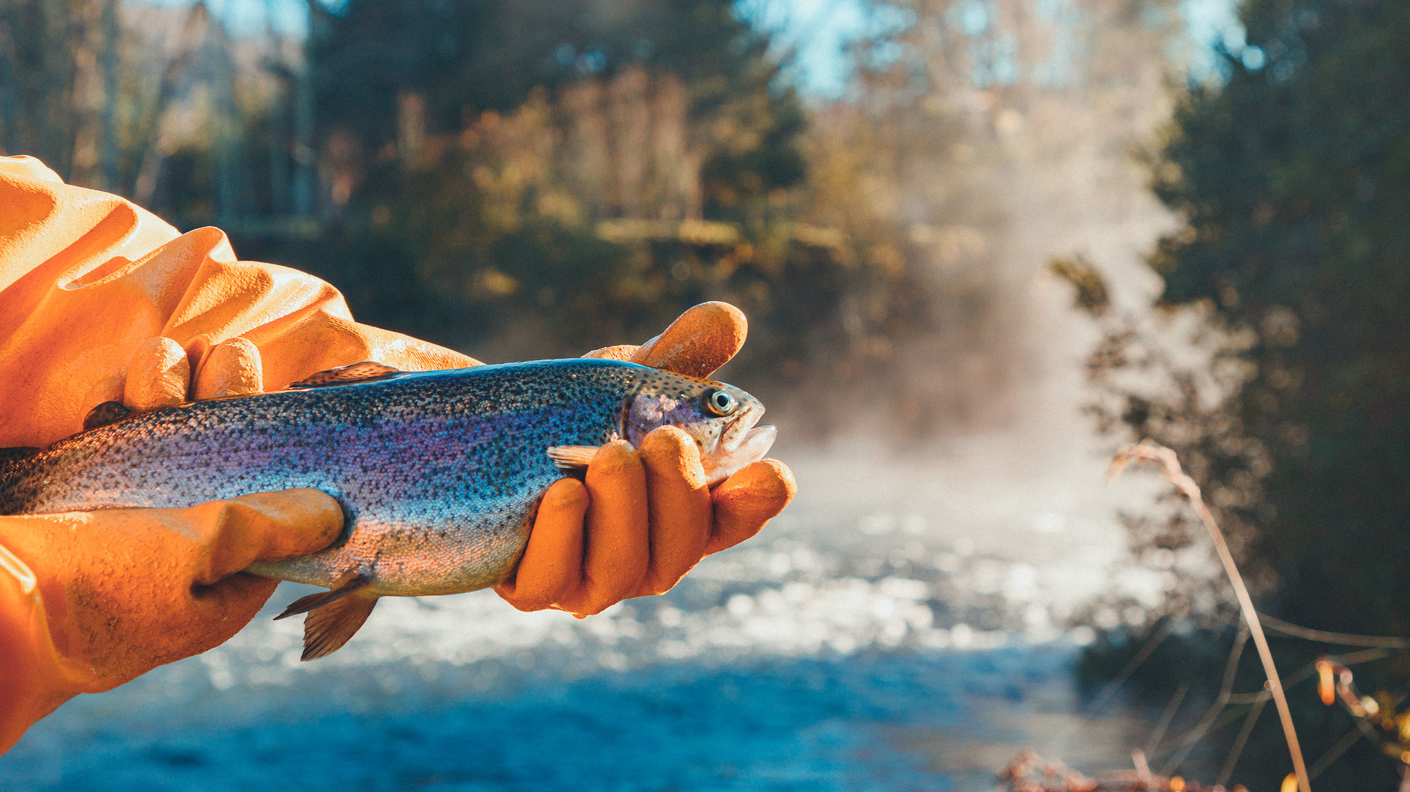 BAP Spotlight Story: Entre Ríos - Global Seafood Alliance