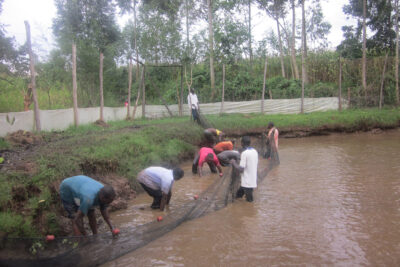 Assessing the future of fish in Africa - Responsible Seafood Advocate