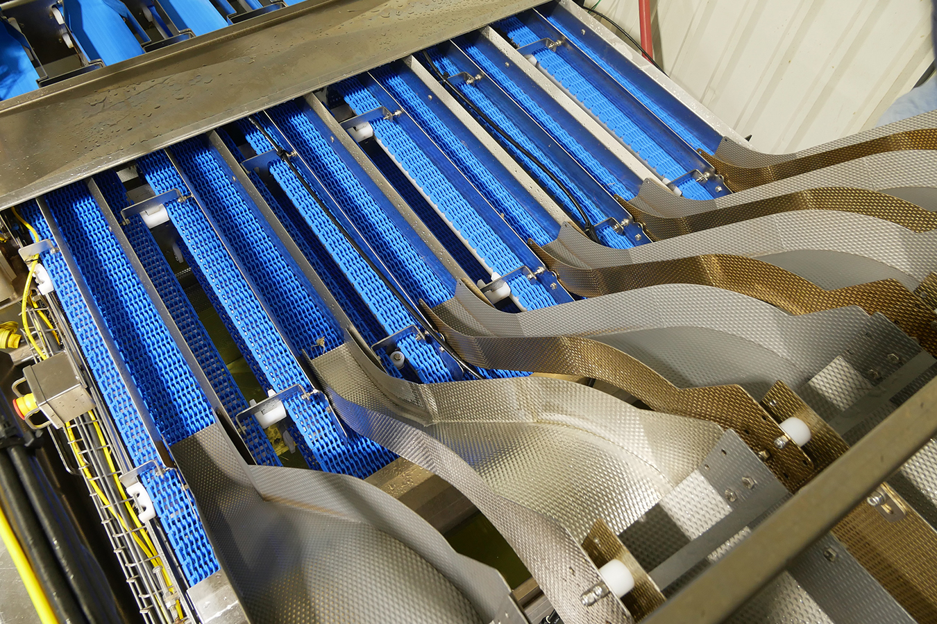 Game changer: How Laitram Machinery’s SMART Sorter is revolutionizing ...