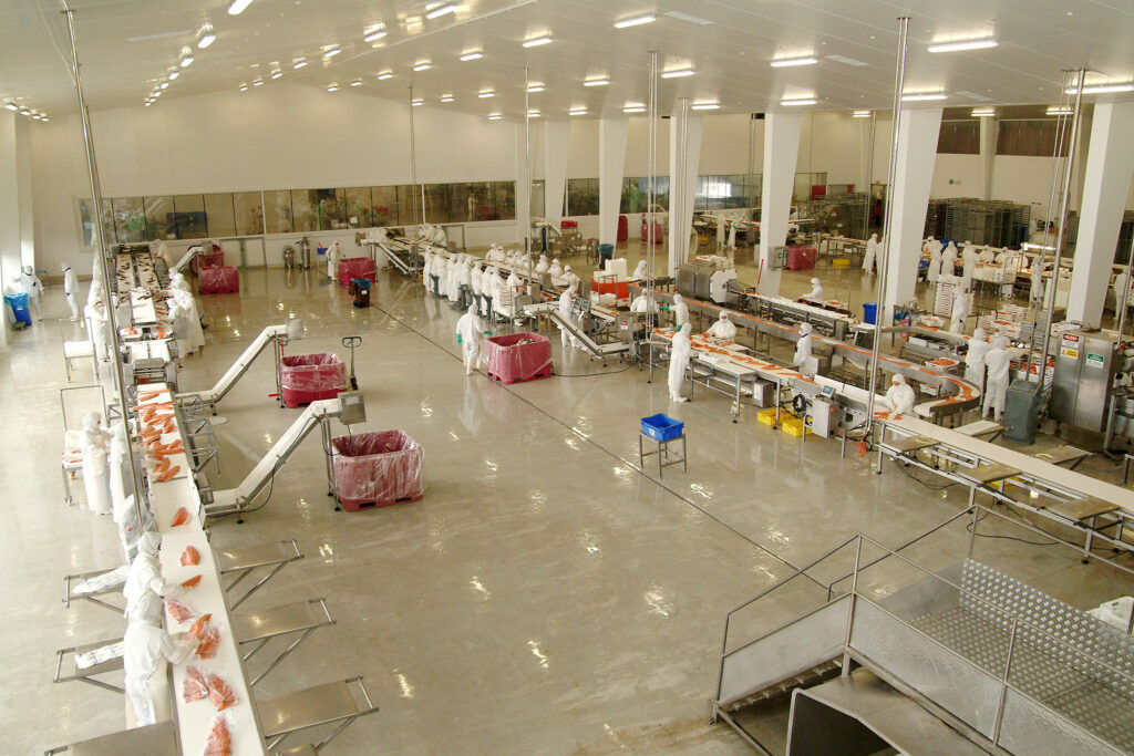 What happens at a seafood processing plant?