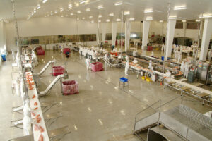 What happens at a seafood processing plant?