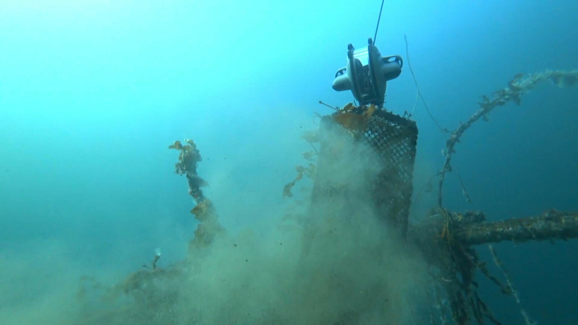 From reporting apps to floating traps: How technology tackles ghost ...