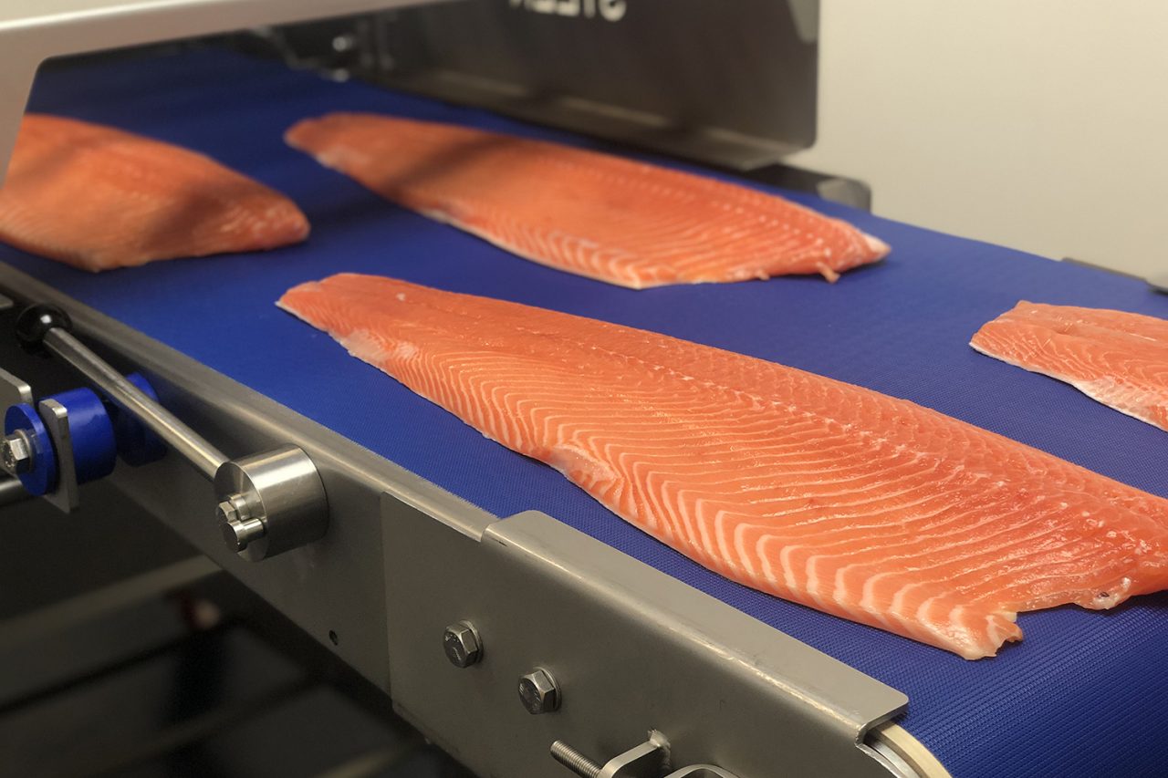 There’s only one way to skin a fish: A STEEN machine - Responsible ...