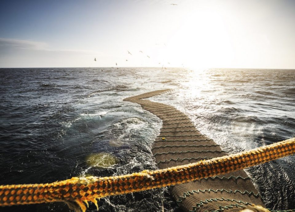 What happens within fisheries?