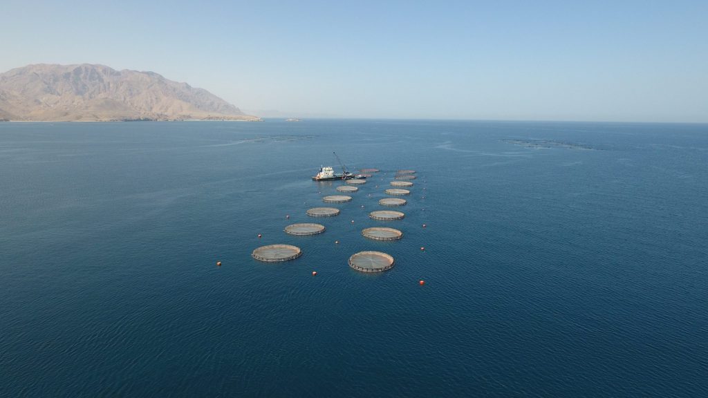 Sea Bream Farm is Oman’s First Facility to be BAP Certified