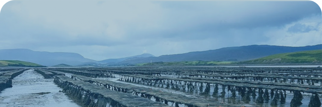 The Environmental Impact of Aquaculture: Responsible Seafood