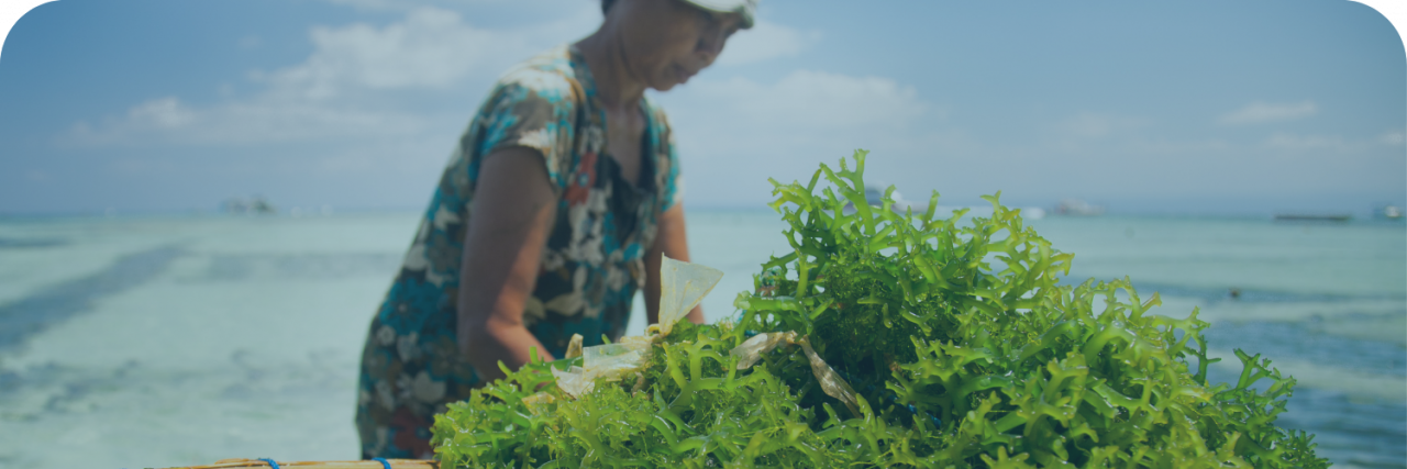 The Environmental Impact of Aquaculture: Responsible Seafood