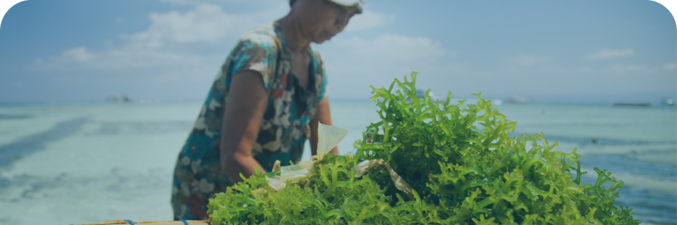 The Environmental Impact of Aquaculture: Responsible Seafood