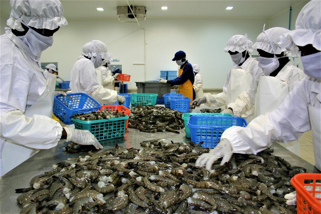 Nutrient recycling and circular economies can support sustainable ...