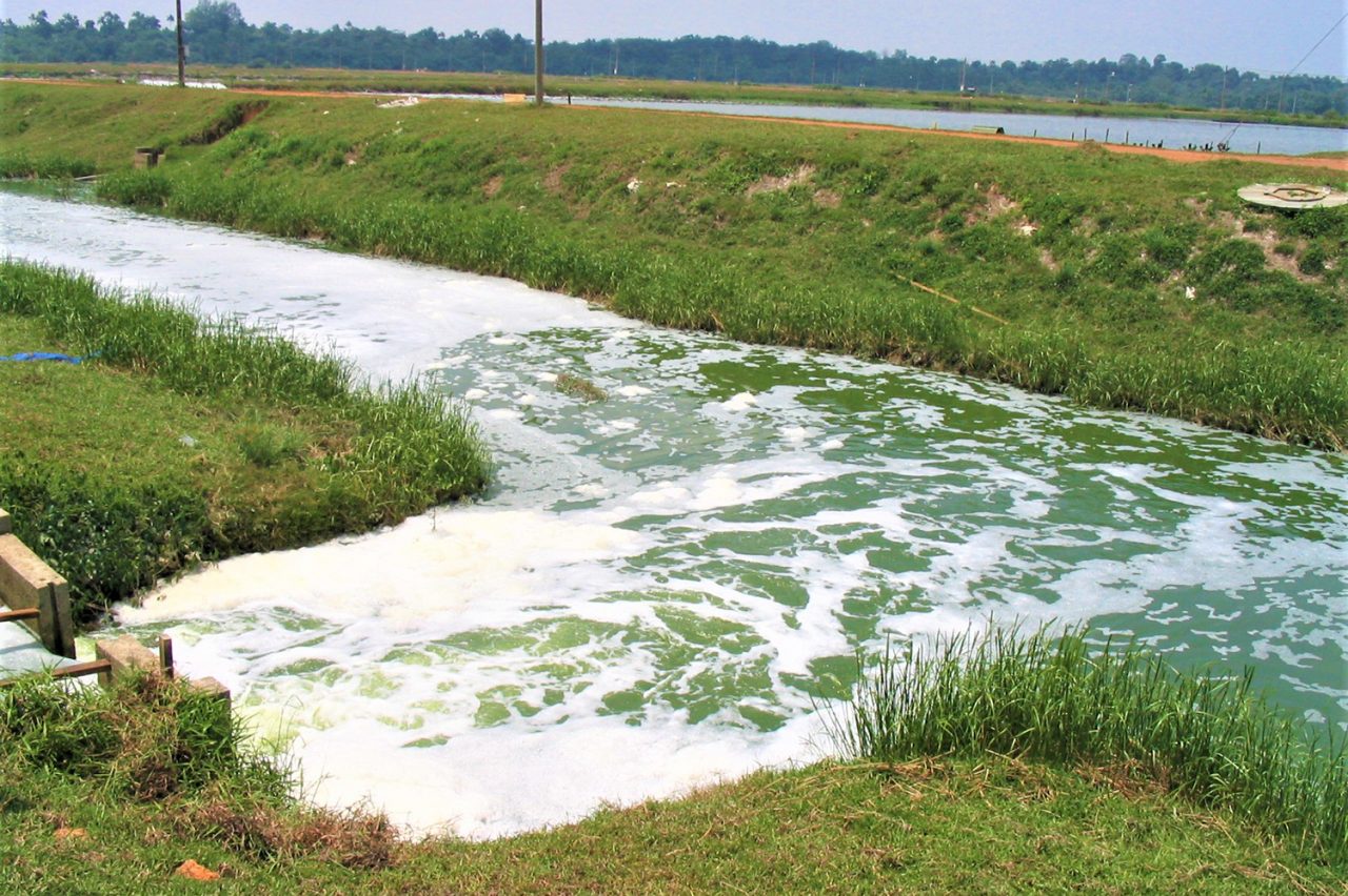 Nutrient recycling and circular economies can support sustainable ...