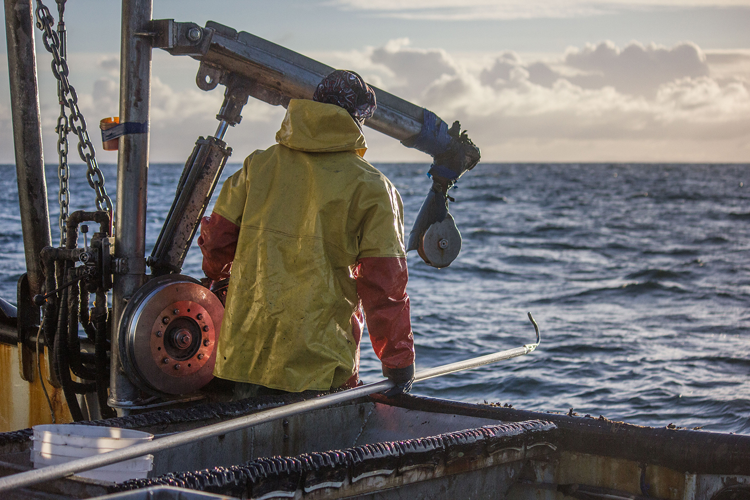 Artificial intelligence is already helping improve fisheries, but the ...