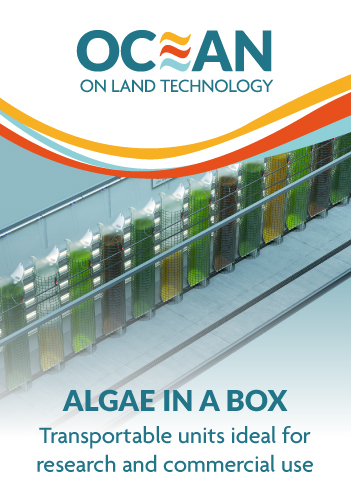 食品安全成为中国消费者关心的重中之重 - Responsible Seafood Advocate