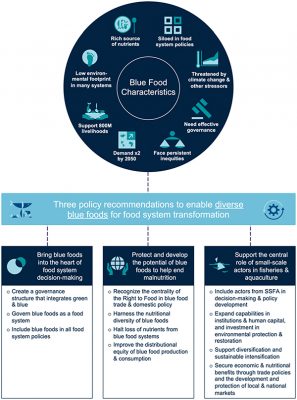 Study: Blue foods are ‘vital’ in the global food system but excluded ...