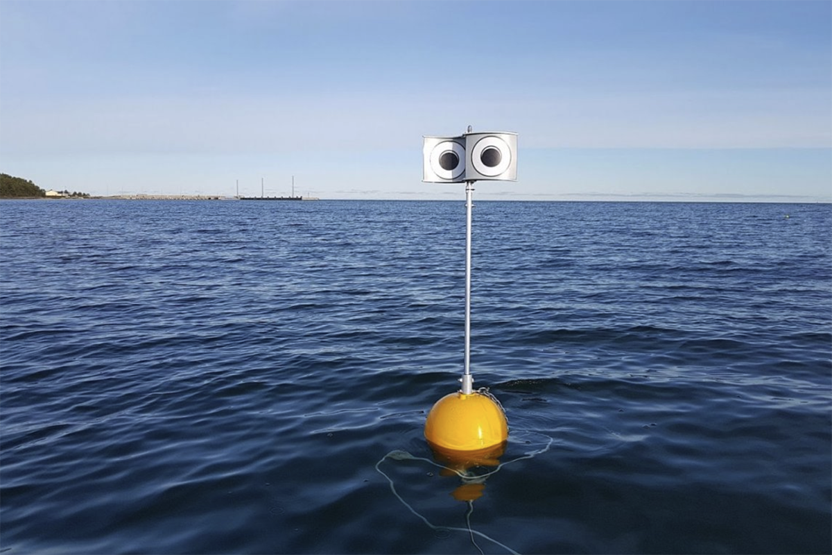 Could these high- and low-tech approaches help curb fisheries bycatch ...