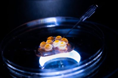 With tools like CRISPR, can genome editing deliver more resilience for ...