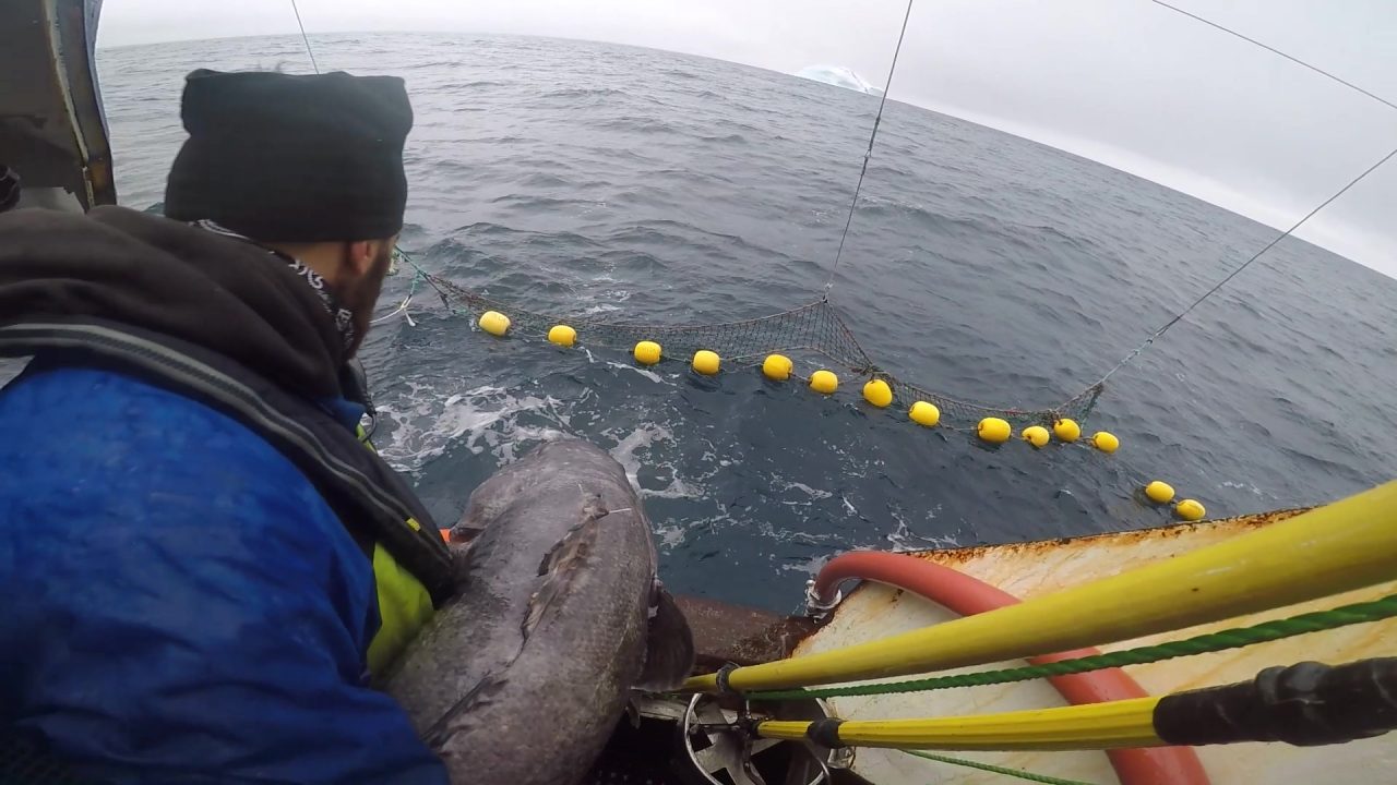 BSP Spotlight Story: Australian Longline - Global Seafood Alliance