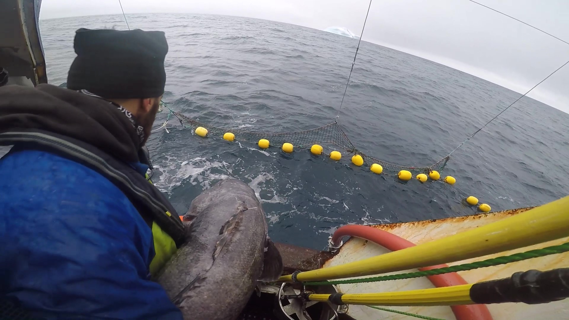 BSP Spotlight Story: Australian Longline - Global Seafood Alliance