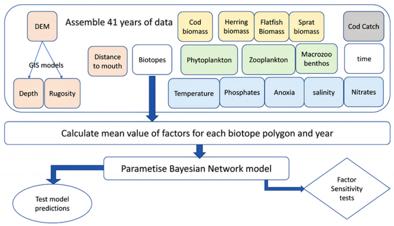 Coastal fisheries management and novel modeling - Responsible Seafood ...