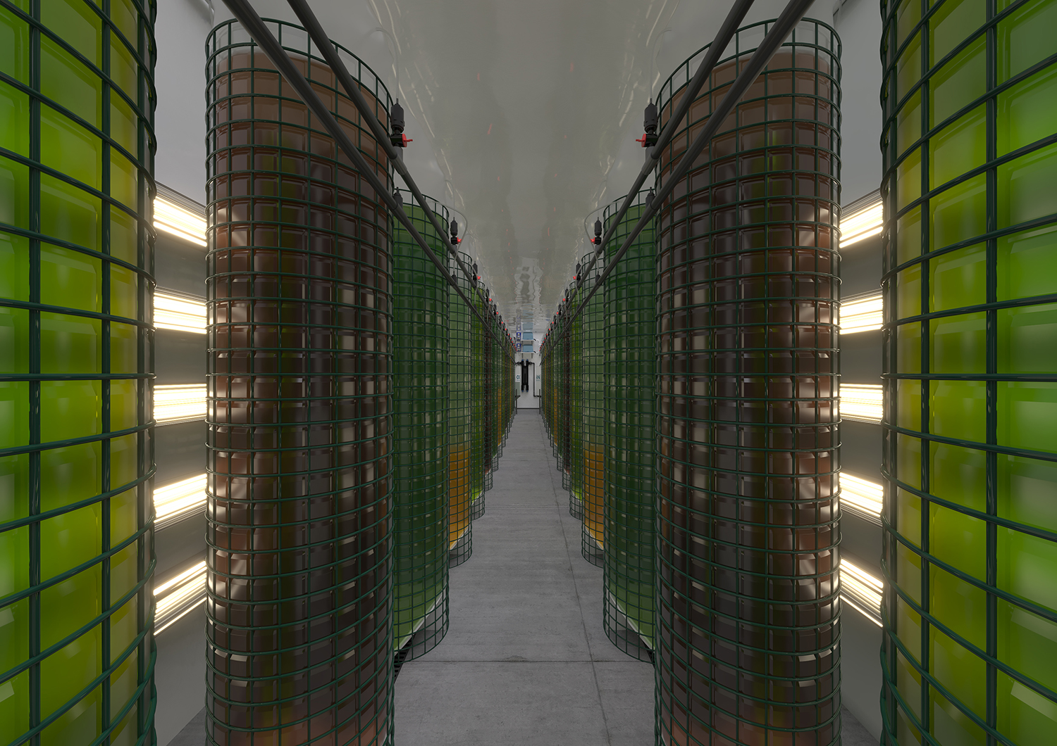 Aquaculture hatchery operators should think inside the box for ...