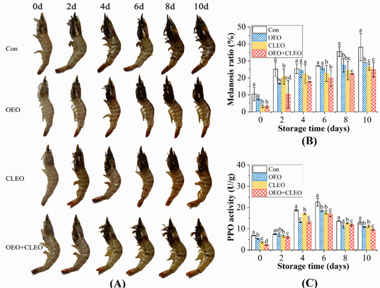 Antibacterial and antioxidant activity of essential oils on frozen ...