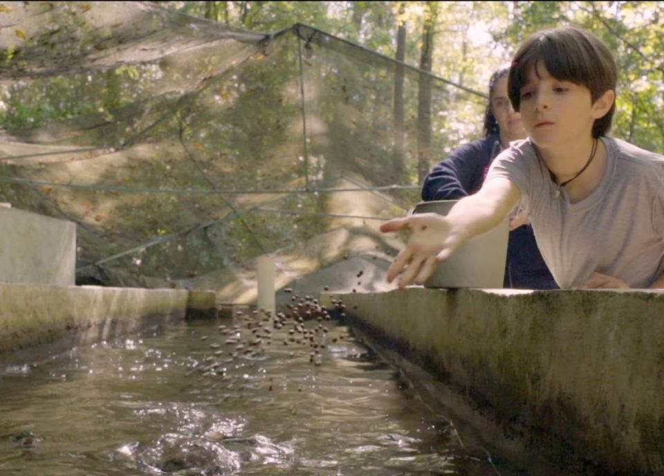 How to start a fish farm