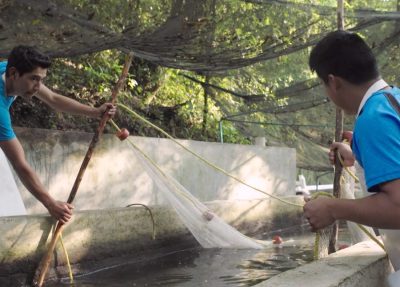 How to start a fish farm