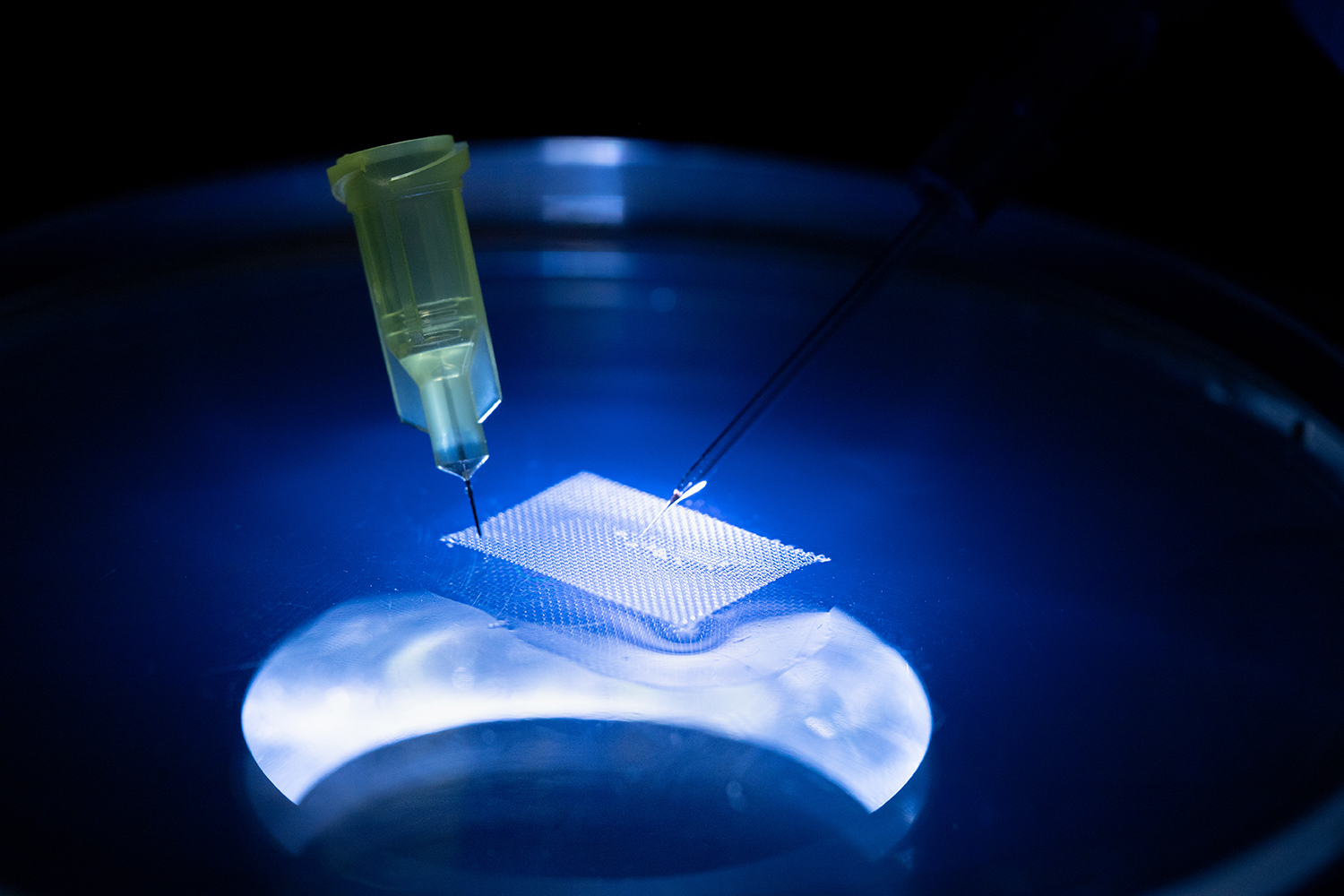 Overcoming the 'sterility paradox’: How new gene editing technology can ...