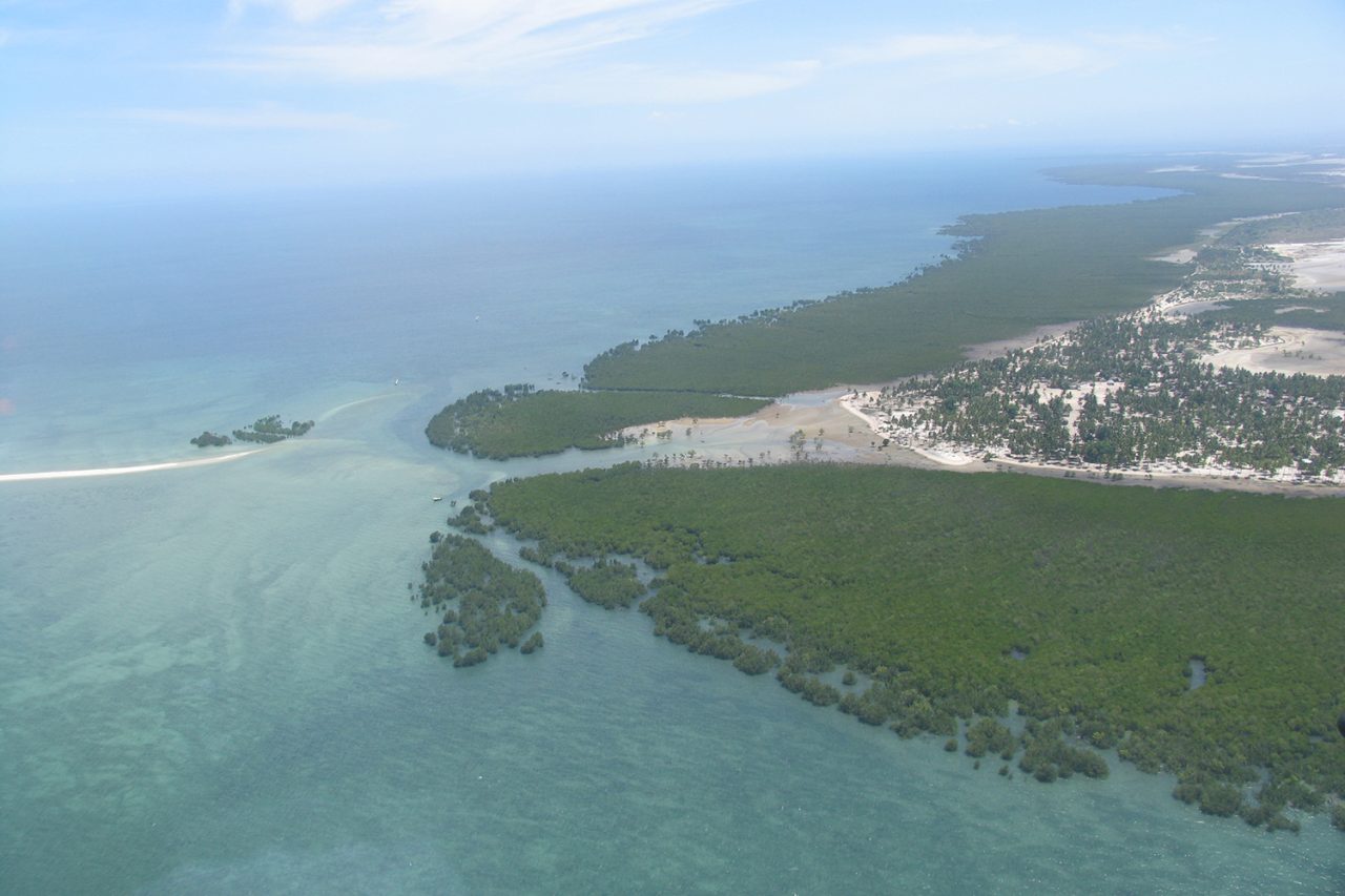 Pathogen filtration is an untapped coastal ecosystem service ...