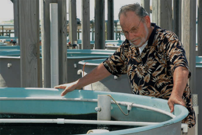 Addison Lawrence, dedicated shrimp aquaculture researcher, remembered ...