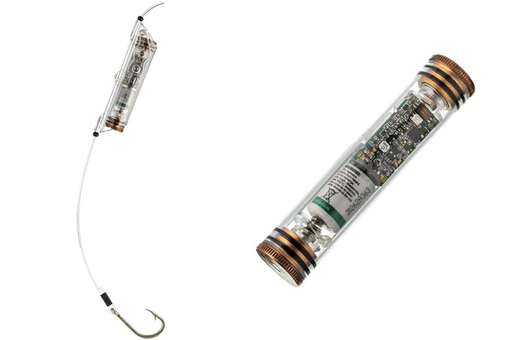 Could an electric-pulsed device help mitigate shark bycatch in longline ...