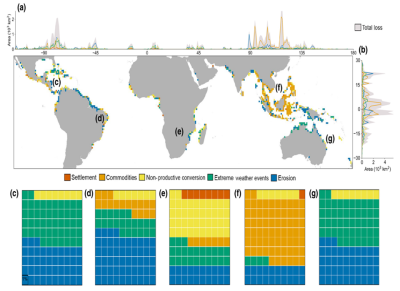 Mapping global declines in human-driven mangrove forest loss ...