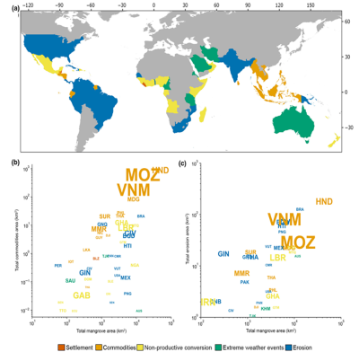 Mapping global declines in human-driven mangrove forest loss ...