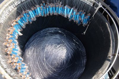 Could an electric-pulsed device help mitigate shark bycatch in longline ...