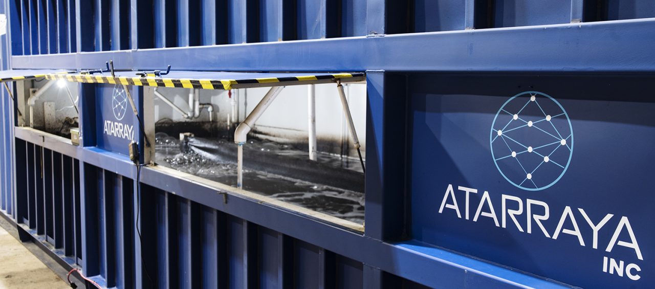 ‘Plug-and-play’ shrimp farm inventor out to prove that Shrimpbox is ...