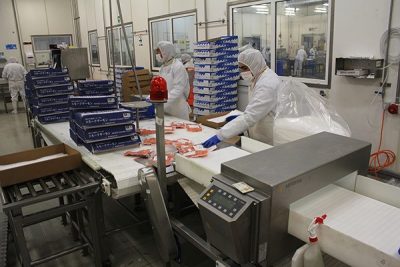 Trends and advances in seafood quality, processing and preservation ...