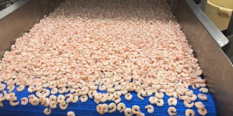 What to look for in a shrimp cooking system? It boils down to balancing ...