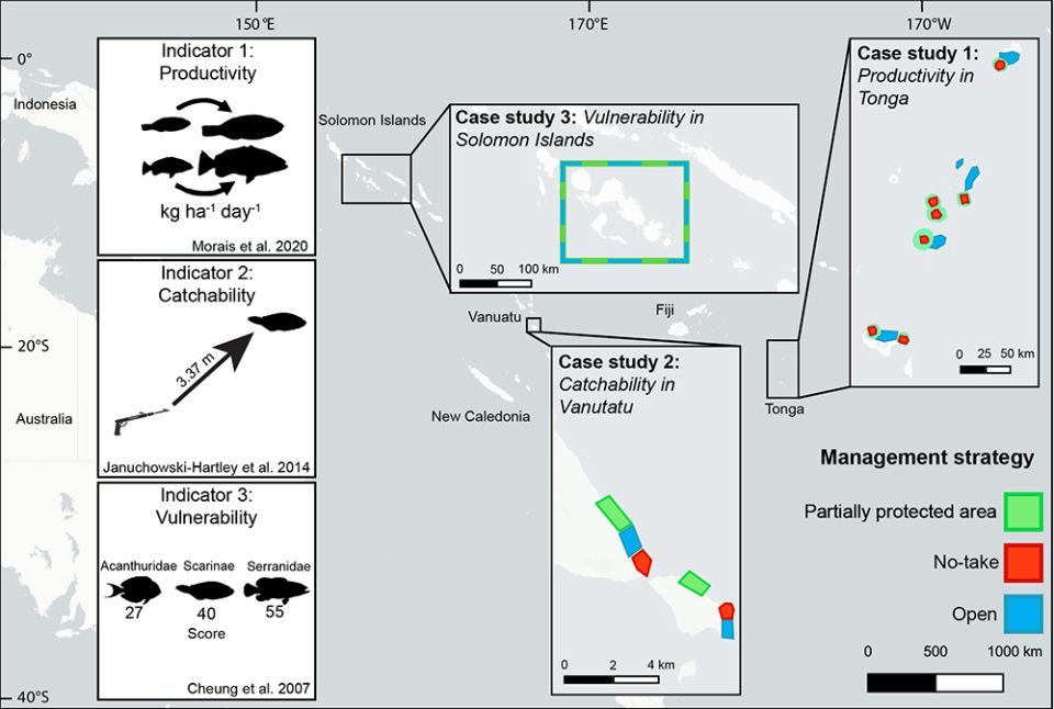 The hidden benefits and risks of partial protection for coral reef ...