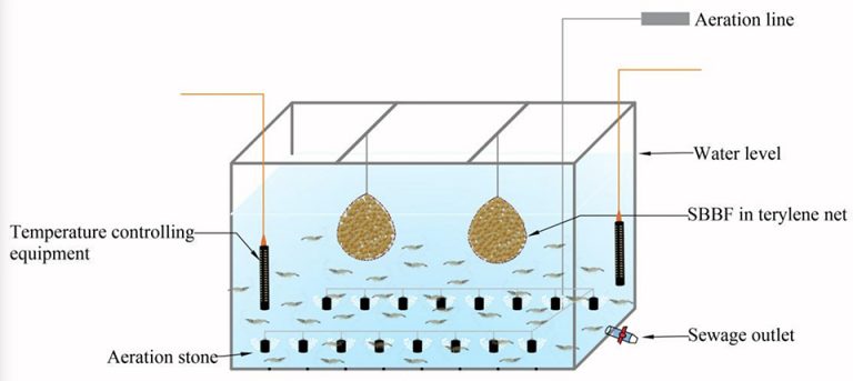 Can sponge biocarriers control inorganic nitrogen and suspended solids ...