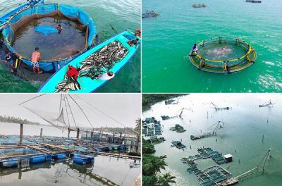 Study: Mariculture offers economic benefits for India’s coastal regions ...