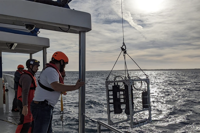 FAU: Holographic microscopy may provide an effective red tide warning ...