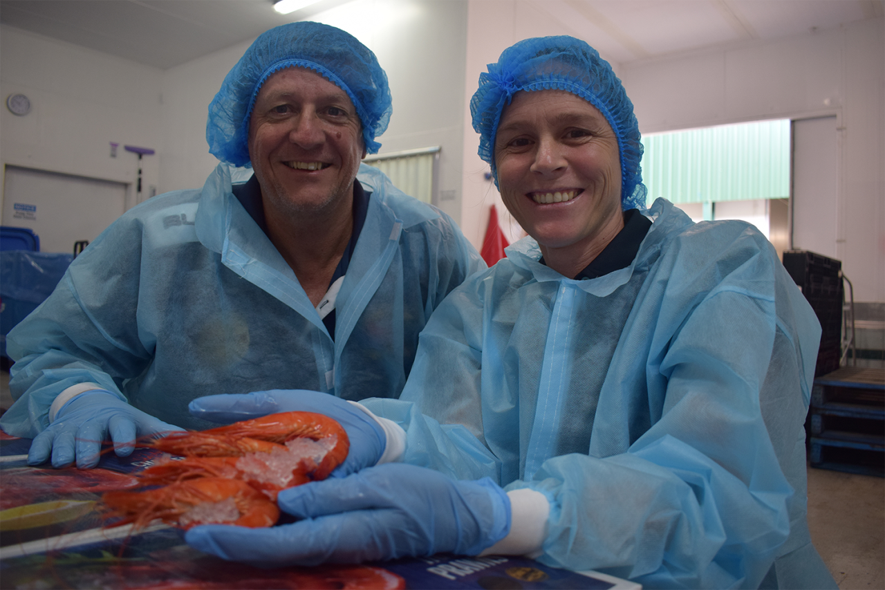 Australian shrimp growers demonstrate how to farm black tigers with ...