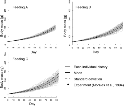 Feeding simulation developed using fish-schooling behavior ...
