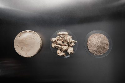Aqua-Spark invests in Finnish biotech startup to scale up fungal ...