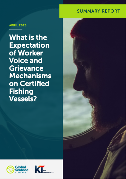 Research Explores Worker Voice on Vessels