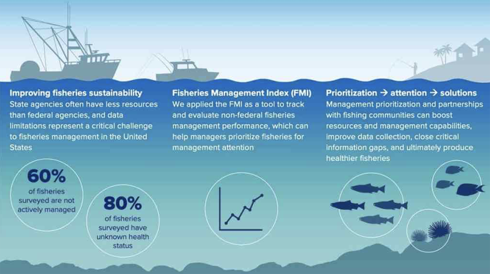 Fisheries in Focus: What is the Fisheries Management Index and what ...