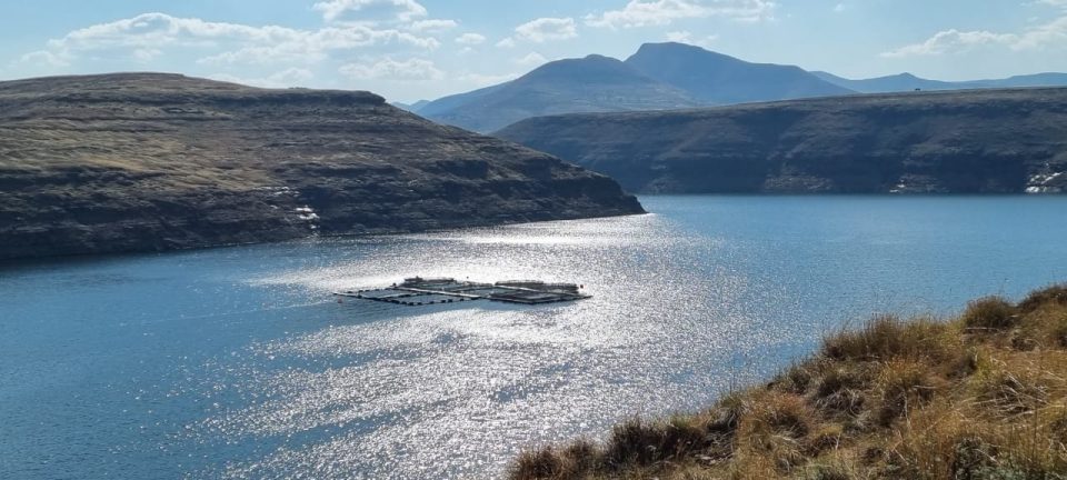 SanLei is World’s First BAP-Certified Producer in Southern Africa ...